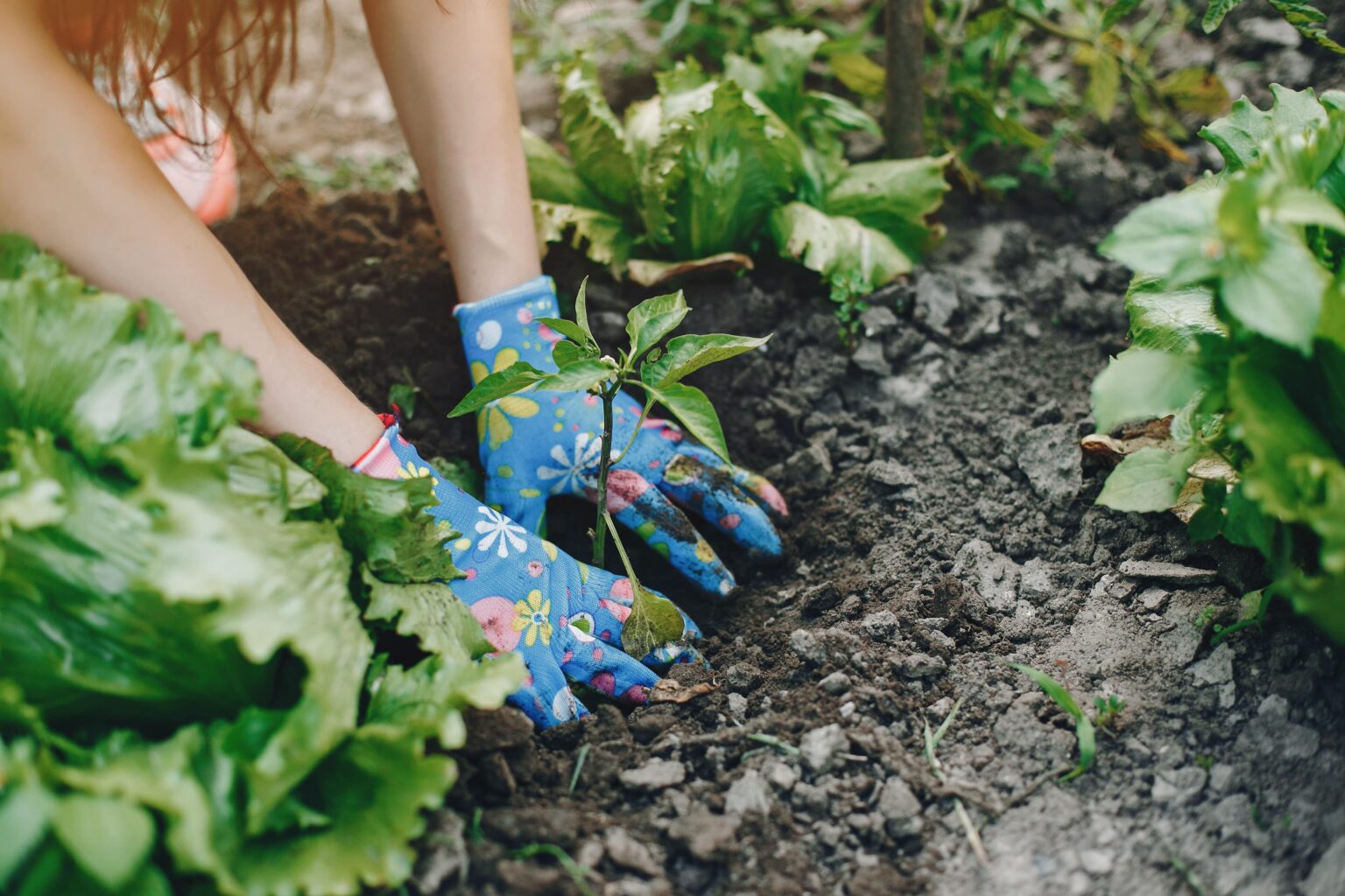 7 Tips To Create A Green Classroom & Promote Sustainability